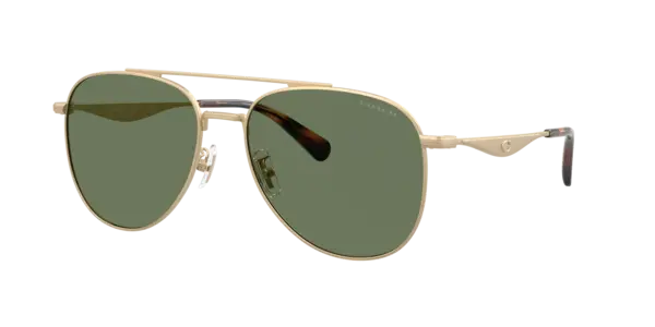 COACH Aviator Sunglasses - Green Solid
