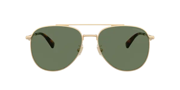COACH Aviator Sunglasses - Green Solid