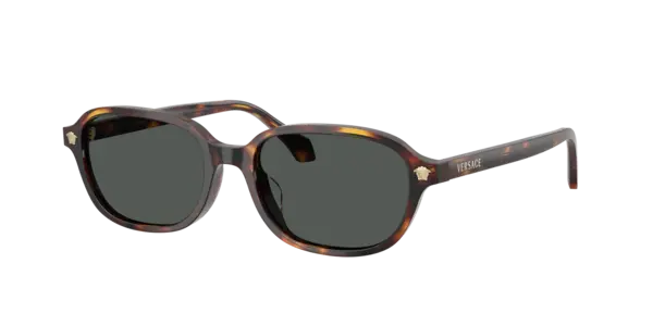 Versace Ve4514d Sunglasses - Dark Brown