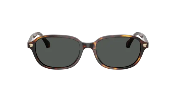 Versace Ve4514d Sunglasses - Dark Brown
