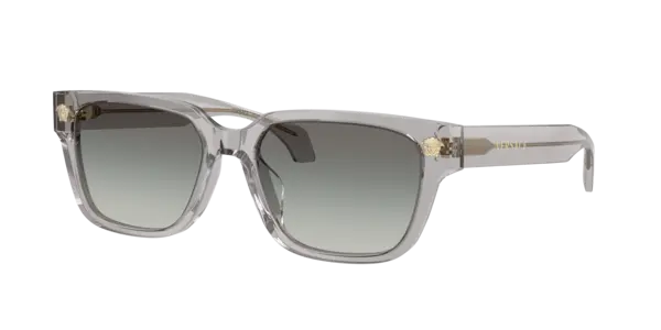 Versace Ve4513d Sunglasses - Grey Gradient