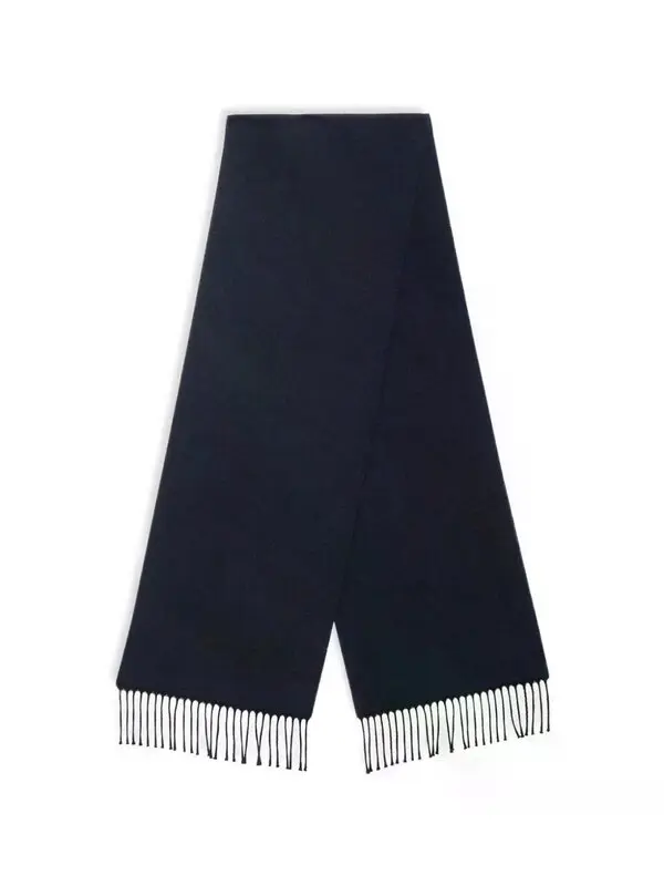 Brooks Brothers Fringed Scarf - Blue