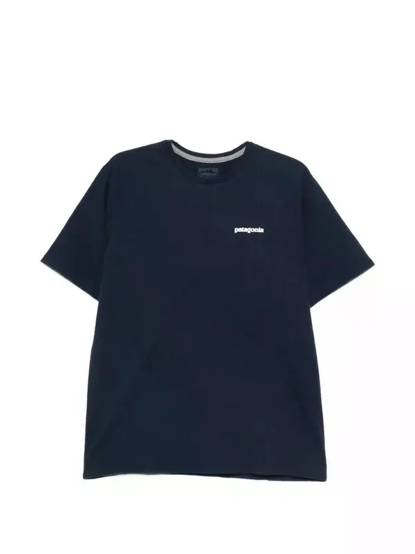 Patagonia Graphic T-shirt - Blue