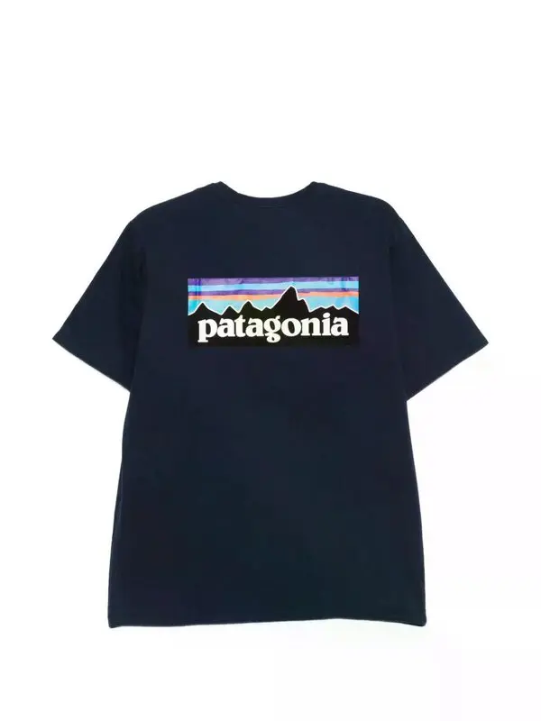 Patagonia Graphic T-shirt - Blue
