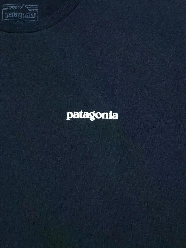 Patagonia Graphic T-shirt - Blue