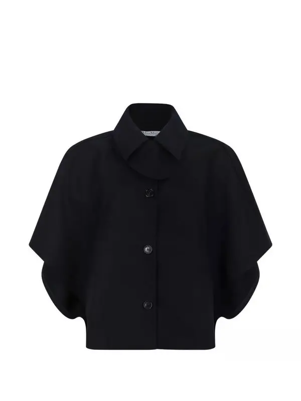 Max Mara Buttoned Collared Jacket