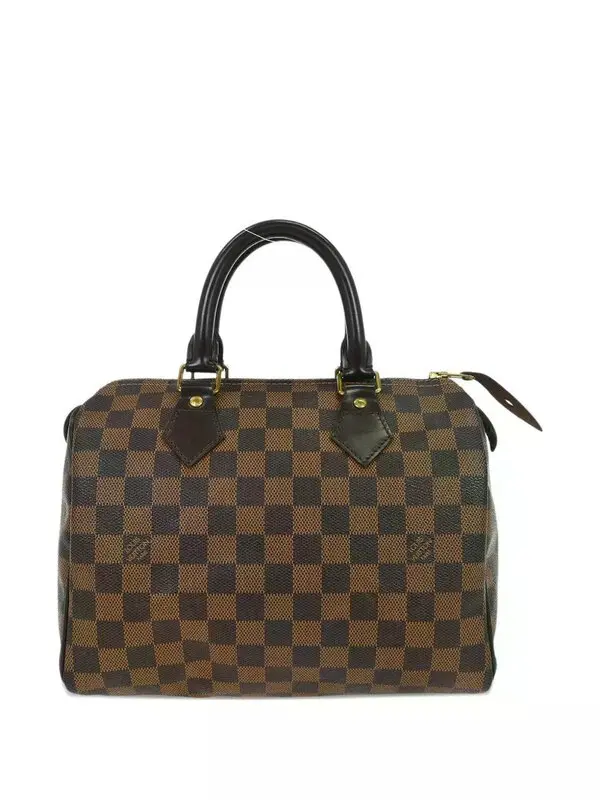 LOUIS VUITTON 2010 Speedy 25 Damier Handbag