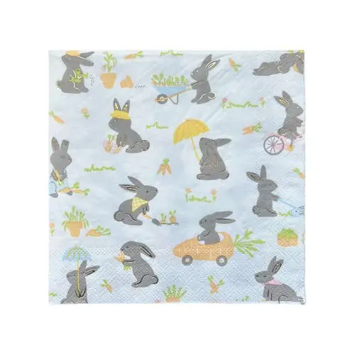 DAYDREAM SOCIETY Bunnies In The Garden Large Napkins - Asssorted Pre-pack