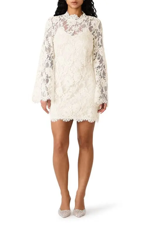 Steve Madden Selinna Lace Mini Dress