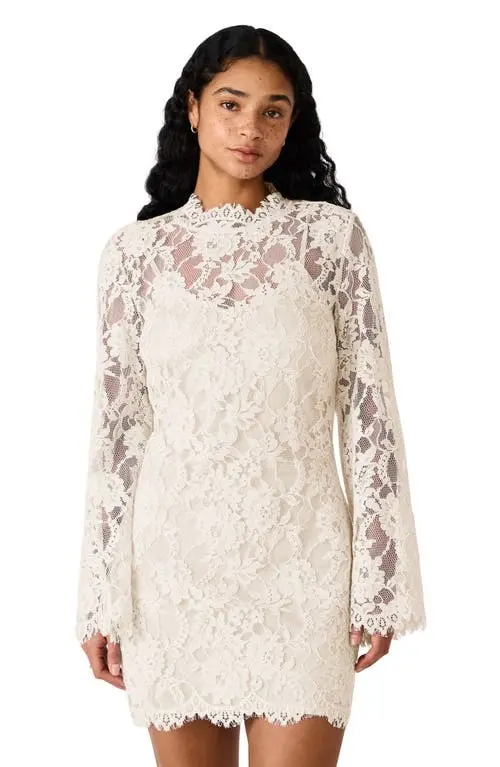 Steve Madden Selinna Lace Mini Dress