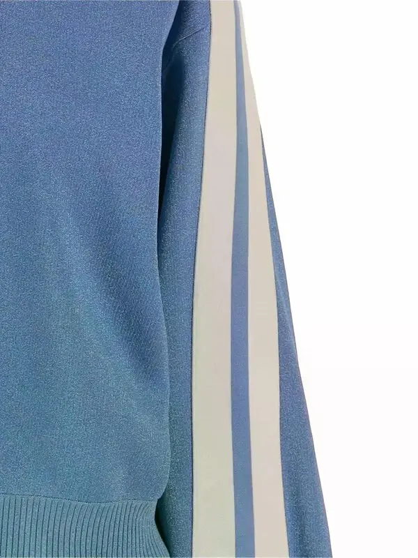 Pinko Striped Sleeve Sweater - Blue