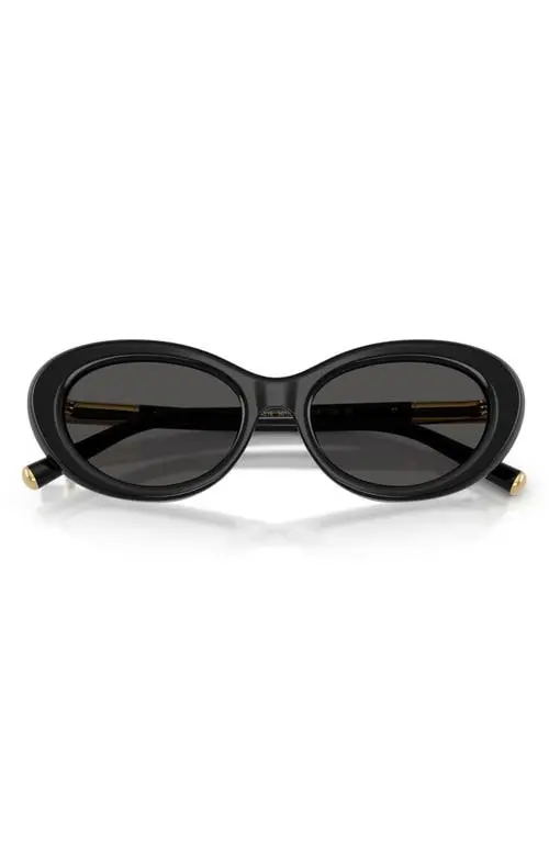 Dolce & Gabbana 54mm Oval Sunglasses - Black/dark Grey