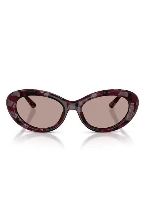 Dolce & Gabbana 54mm Oval Sunglasses - Pearl Havana Purple/brown
