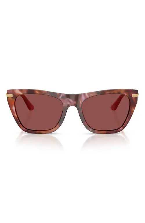 Dolce & Gabbana 55mm Square Sunglasses - Havana Brown/dark Violet