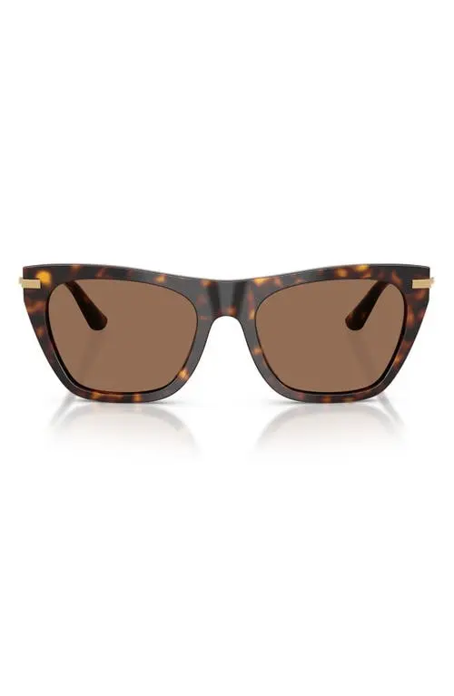 Dolce & Gabbana 55mm Square Sunglasses - Havana/dark Brown
