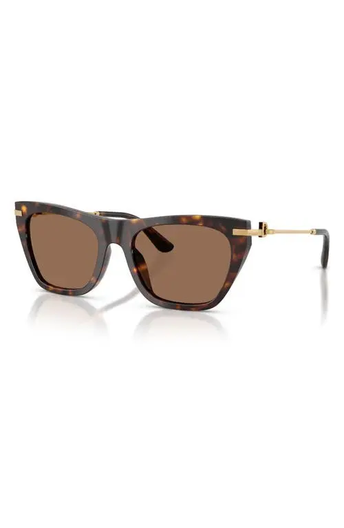 Dolce & Gabbana 55mm Square Sunglasses - Havana/dark Brown