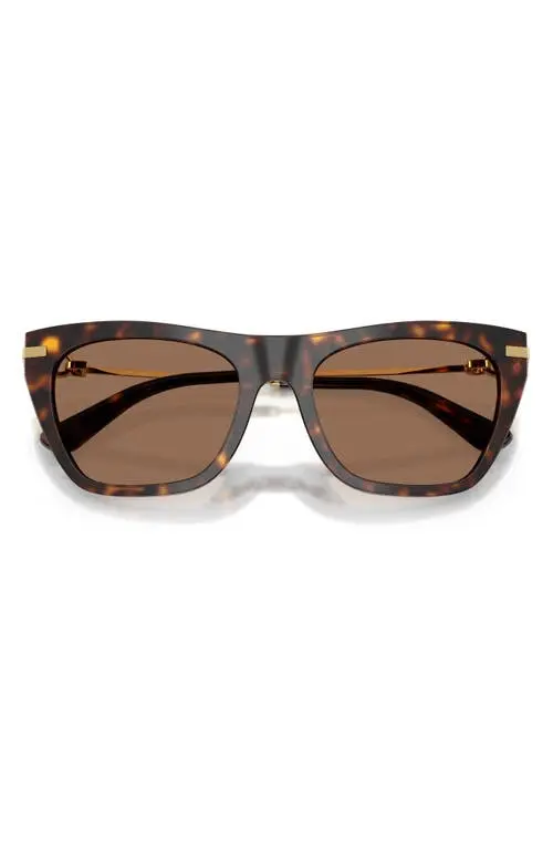 Dolce & Gabbana 55mm Square Sunglasses - Havana/dark Brown