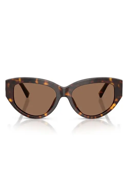 Dolce & Gabbana 55mm Cat Eye Sunglasses - Havana/dark Brown