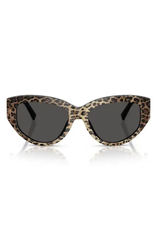 Dolce & Gabbana 55mm Cat Eye Sunglasses - Leo Brown On Black/dark Grey