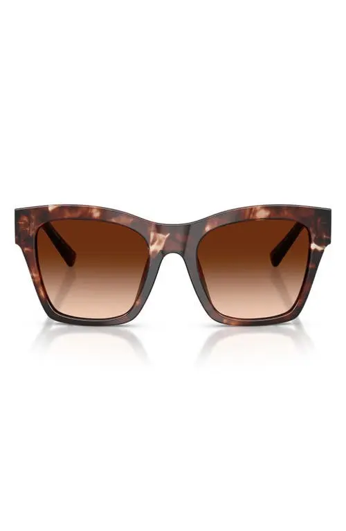 Dolce & Gabbana 53mm Square Sunglasses - Dark Red Havana/brown