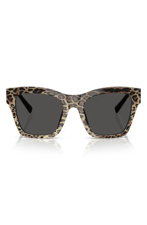 Dolce & Gabbana 53mm Square Sunglasses - Leo Brown On Black/dark Grey