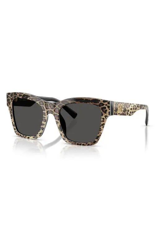 Dolce & Gabbana 53mm Square Sunglasses - Leo Brown On Black/dark Grey