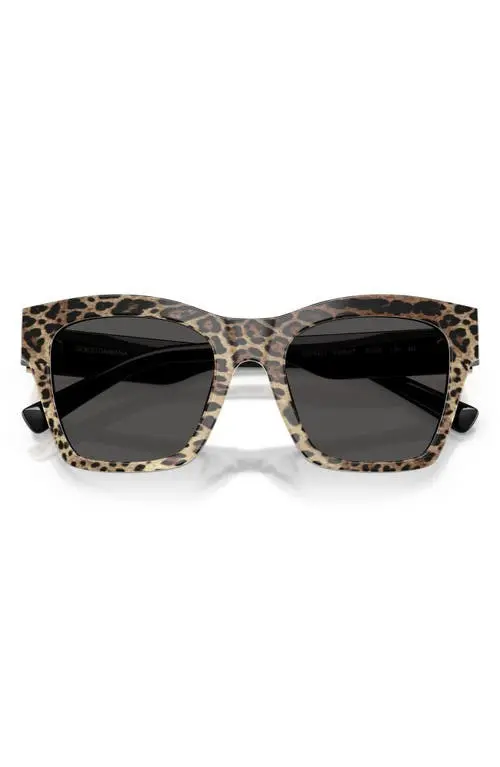 Dolce & Gabbana 53mm Square Sunglasses - Leo Brown On Black/dark Grey
