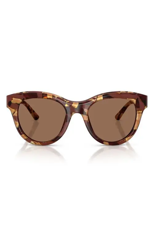 Dolce & Gabbana 52mm Phantos Sunglasses - Pearl Havana Brown