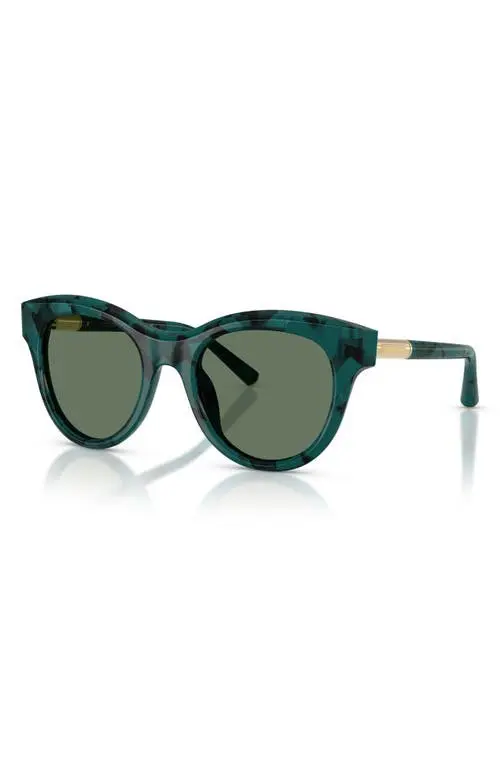 Dolce & Gabbana 52mm Phantos Sunglasses - Pearl Havana/dark Green