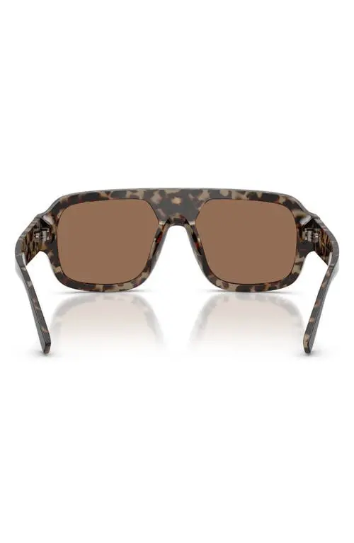 Dolce & Gabbana 55mm Square Aviator Sunglasses - Black Red Havana/dark Brown