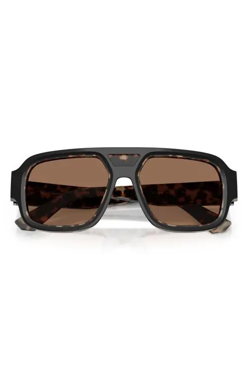 Dolce & Gabbana 55mm Square Aviator Sunglasses - Black Red Havana/dark Brown