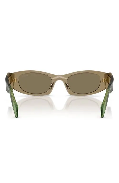 Prada 52mm Oval Sunglasses - Terra/light Brown