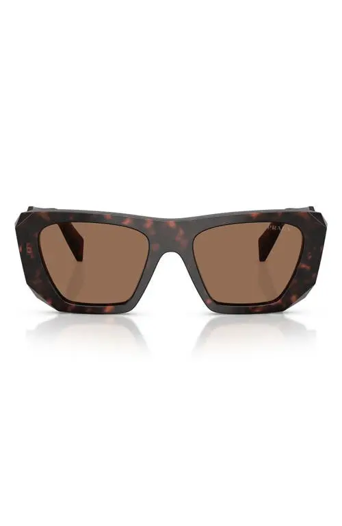 Prada 53mm Square Sunglasses - Root Tortoise/dark Brown