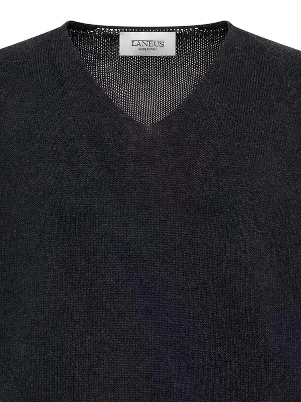 LANEUS V-neck Jumper