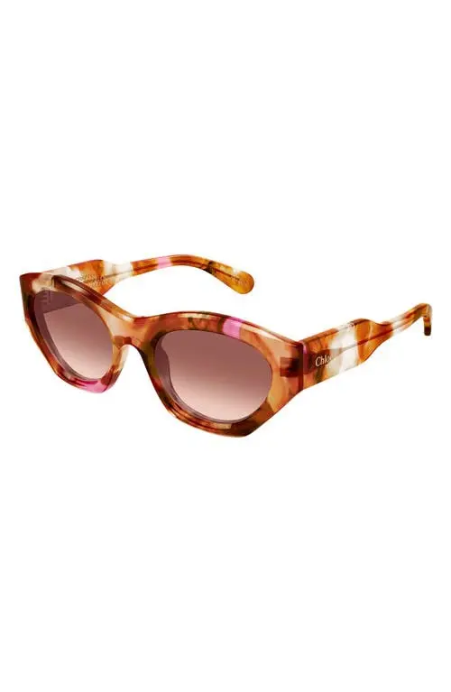 Chloé 53mm Gradient Cat Eye Sunglasses - Havana
