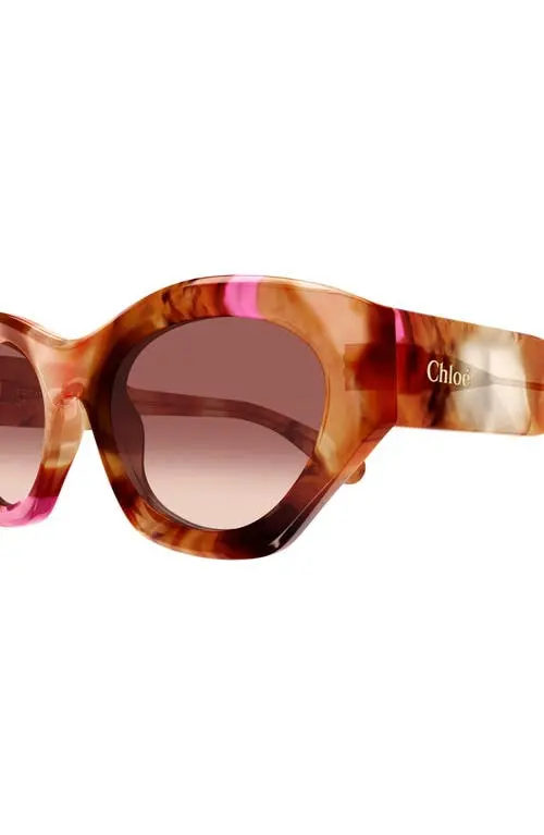Chloé 53mm Gradient Cat Eye Sunglasses - Havana