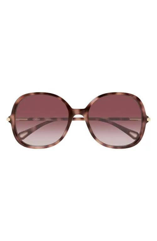 Chloé 57mm Round Frame Sunglasses - Shiny Dark Pink Havana