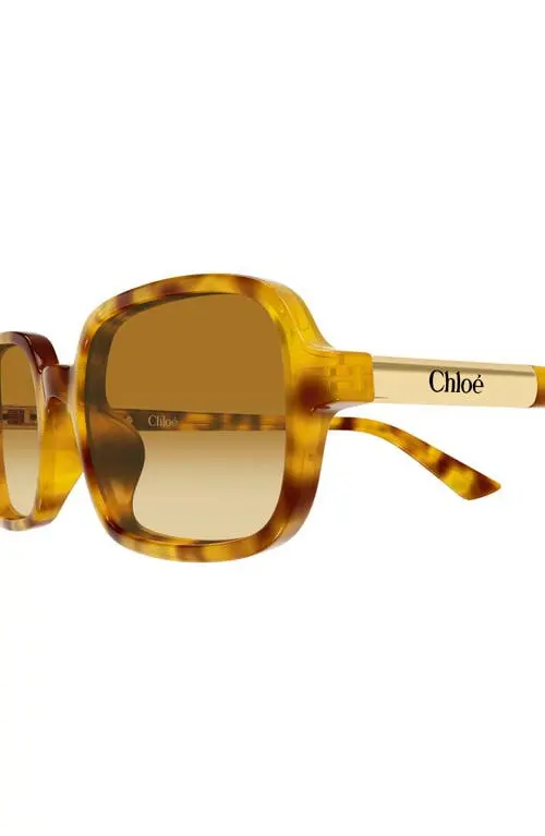 Chloé 53mm Gradient Rectangular Sunglasses - Havana