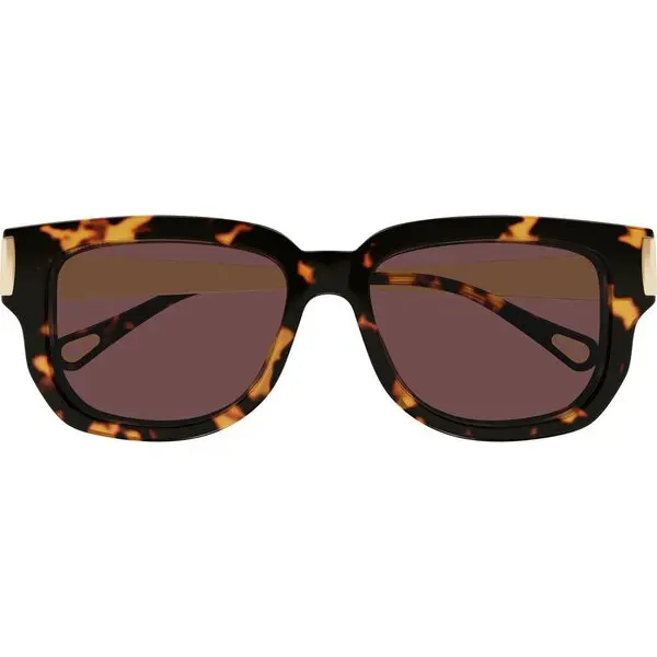 Chloé 54mm Rectangular Sunglasses - Havana