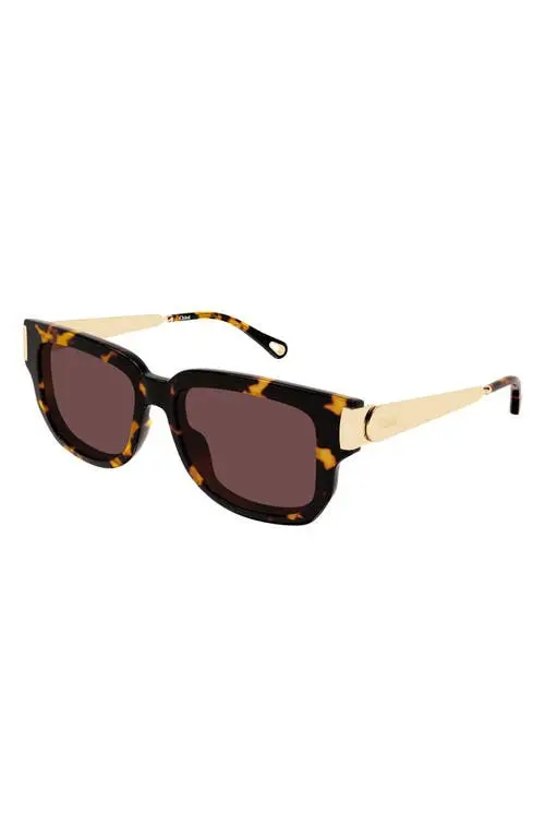 Chloé 54mm Rectangular Sunglasses - Havana