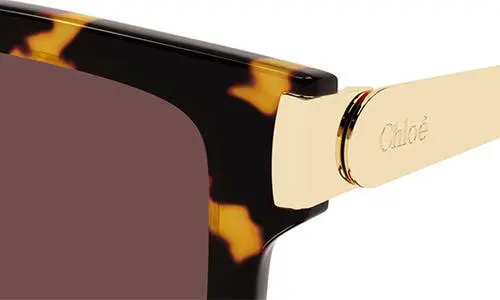 Chloé 54mm Rectangular Sunglasses - Havana