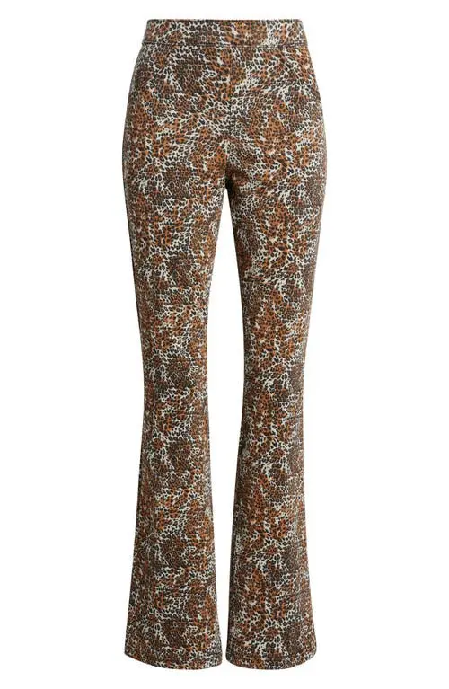 Hue Leopard Print Bootcut Jeans