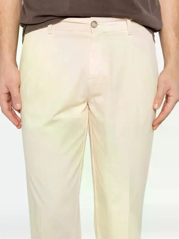 FAY Pleated Trousers - Neutrals