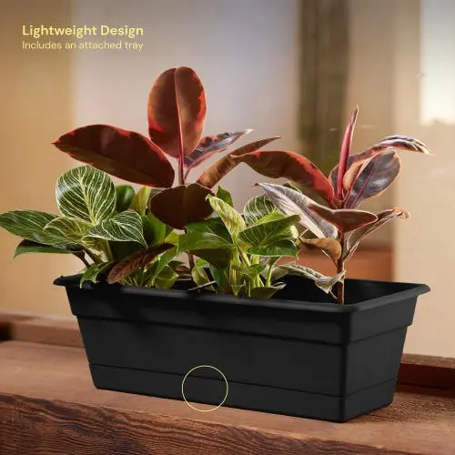 BLOEM 18 Inch Dura Cotta Window Box Planter