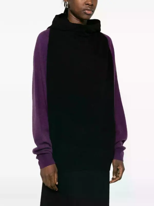 Frenckenberger Colour-block Hooded Sweater