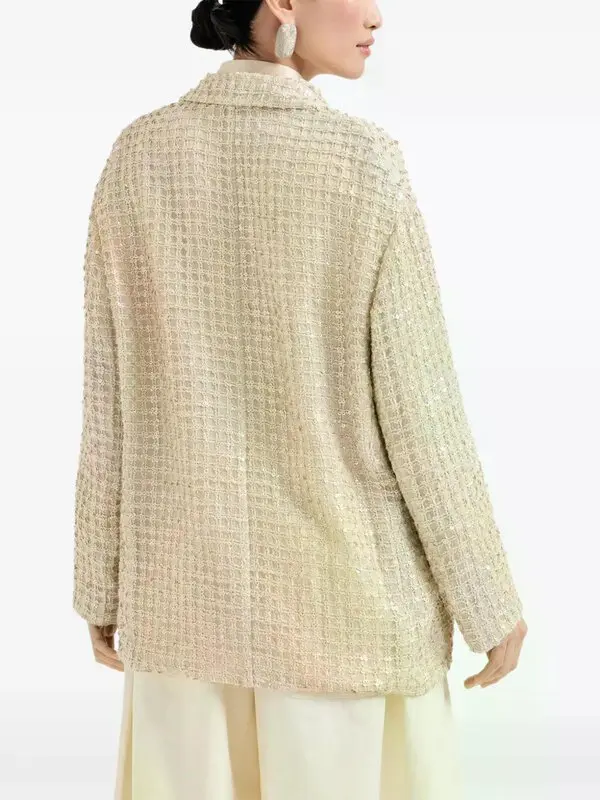 Brunello Cucinelli Silk Net Embroidery Blazer - Neutrals