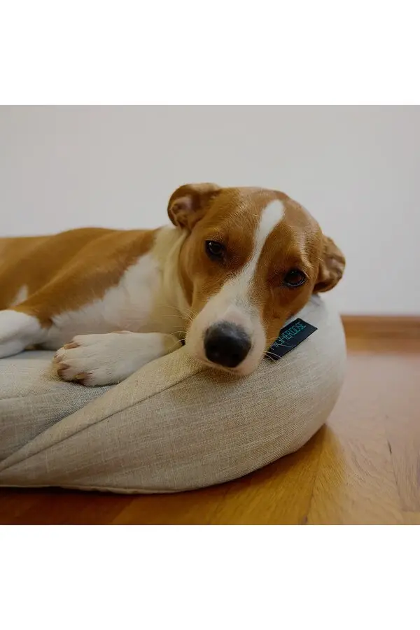 HIGHERDOSE Infrared Pemf Large Pet Bed