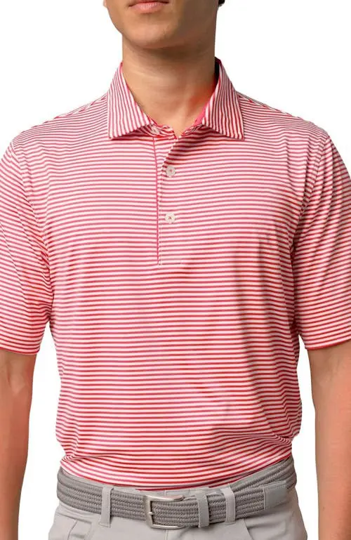 ASHWORTH GOLF Fairway Polo - Core Red/white
