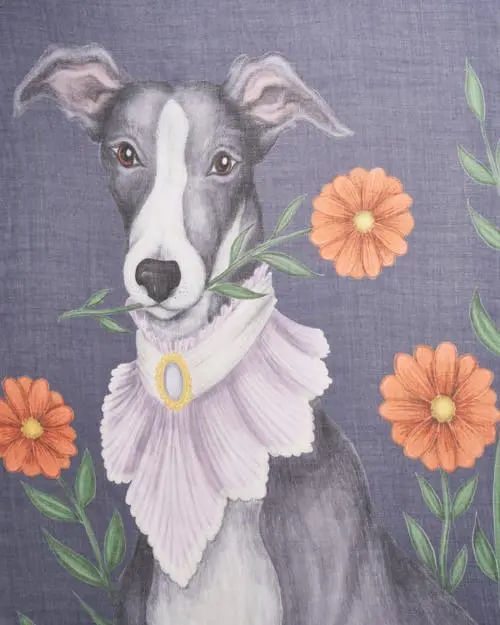 FABLE ENGLAND Catherine Rowe Pet Portraits Whippet Lightweight Scarf