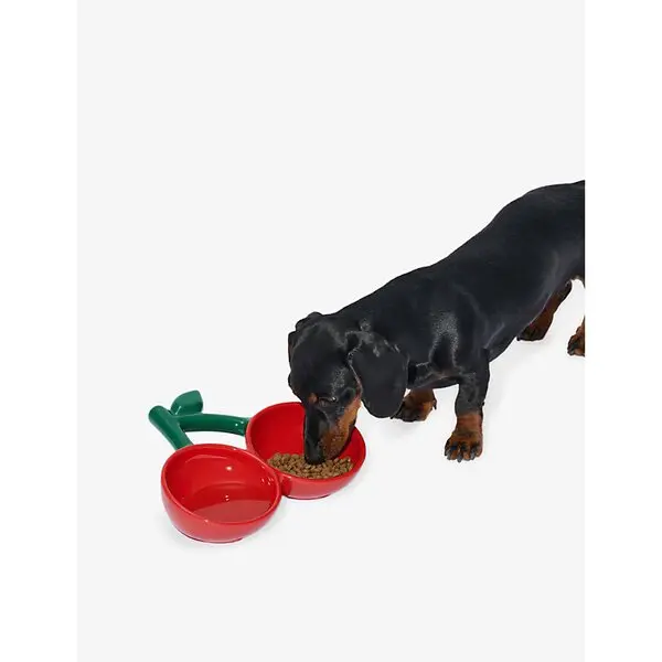 VETRESKA Cherry Ceramic Pet Bowl